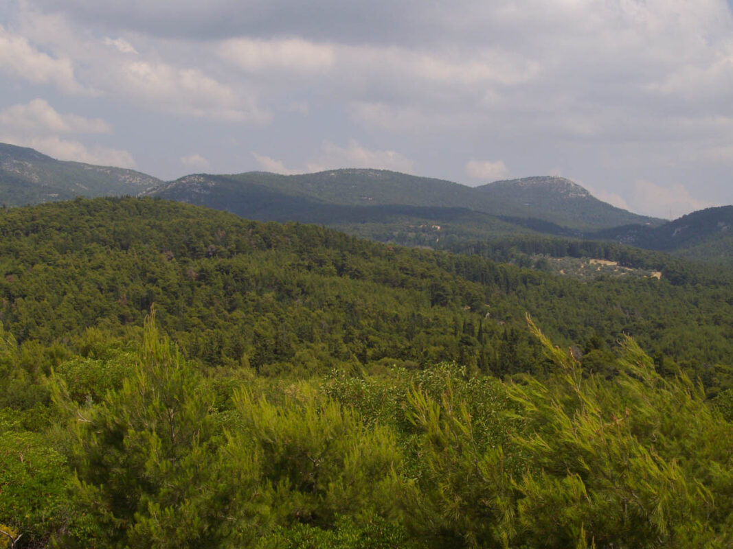 Parnitha National Park | Φορέας Διαχείρισης Δρυμού Πάρνηθας